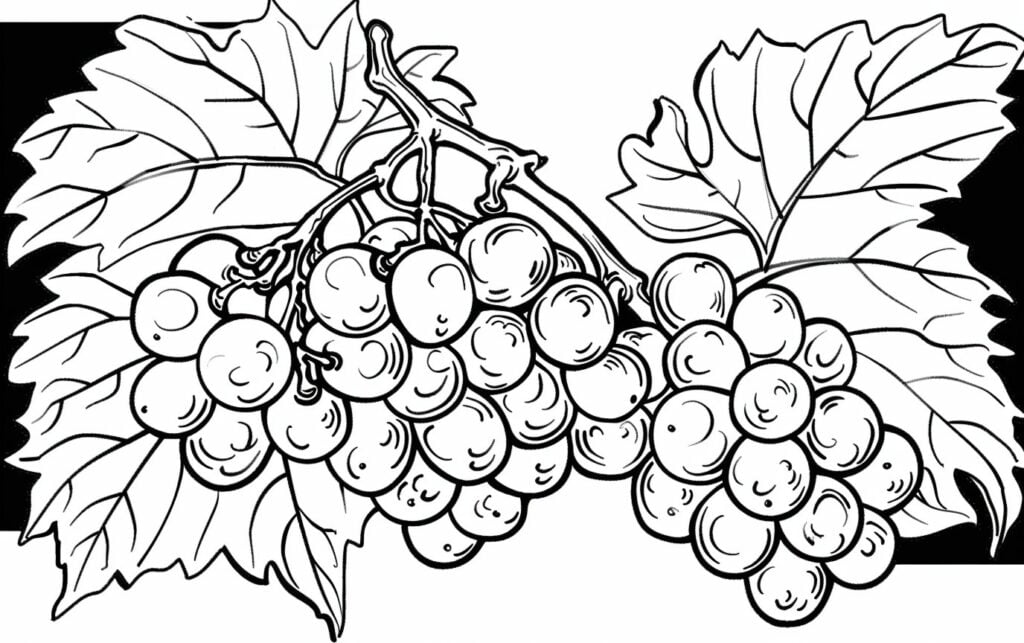 50 Uvas para colorir - Desenhos para colorir online