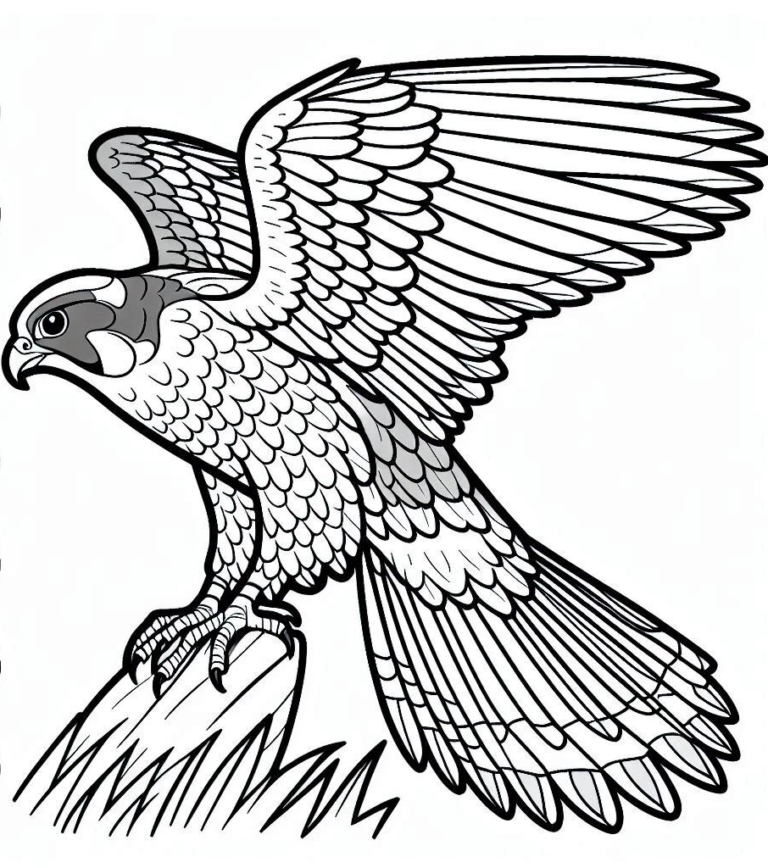 46 Halcones Para Colorear - Descarga Gratis Y Imprime